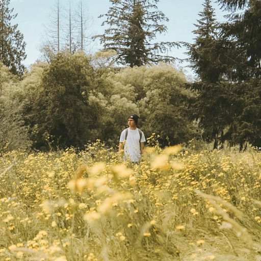 Broken Roads by Isaac Elliot