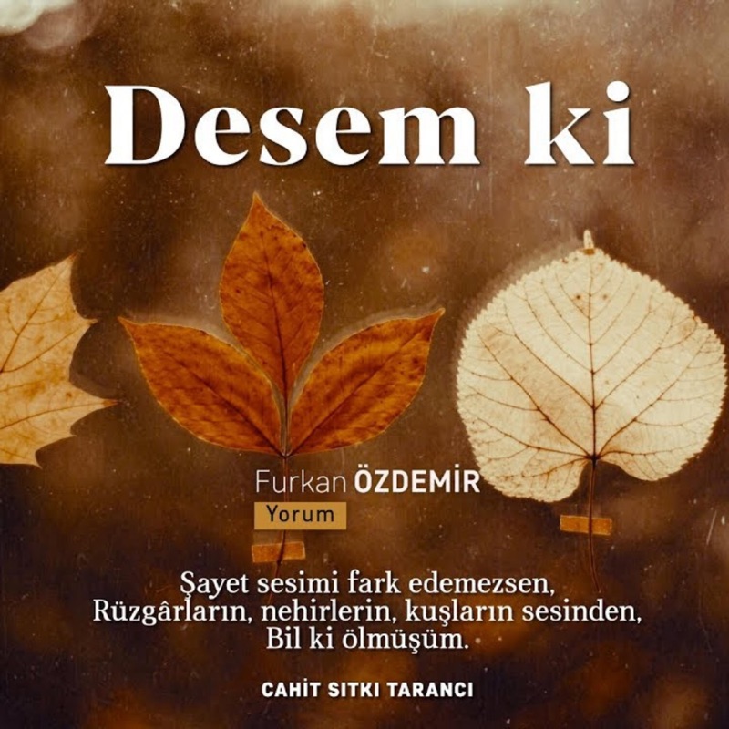 Cahit Sıtkı Tarancı - Desem ki - Furkan Özdemir: Song Lyrics, Music ...