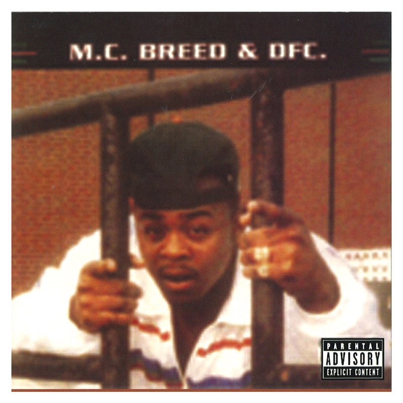 Ain't No Future In Yo' Frontin' - DFC & MC Breed: Song Lyrics, Music ...