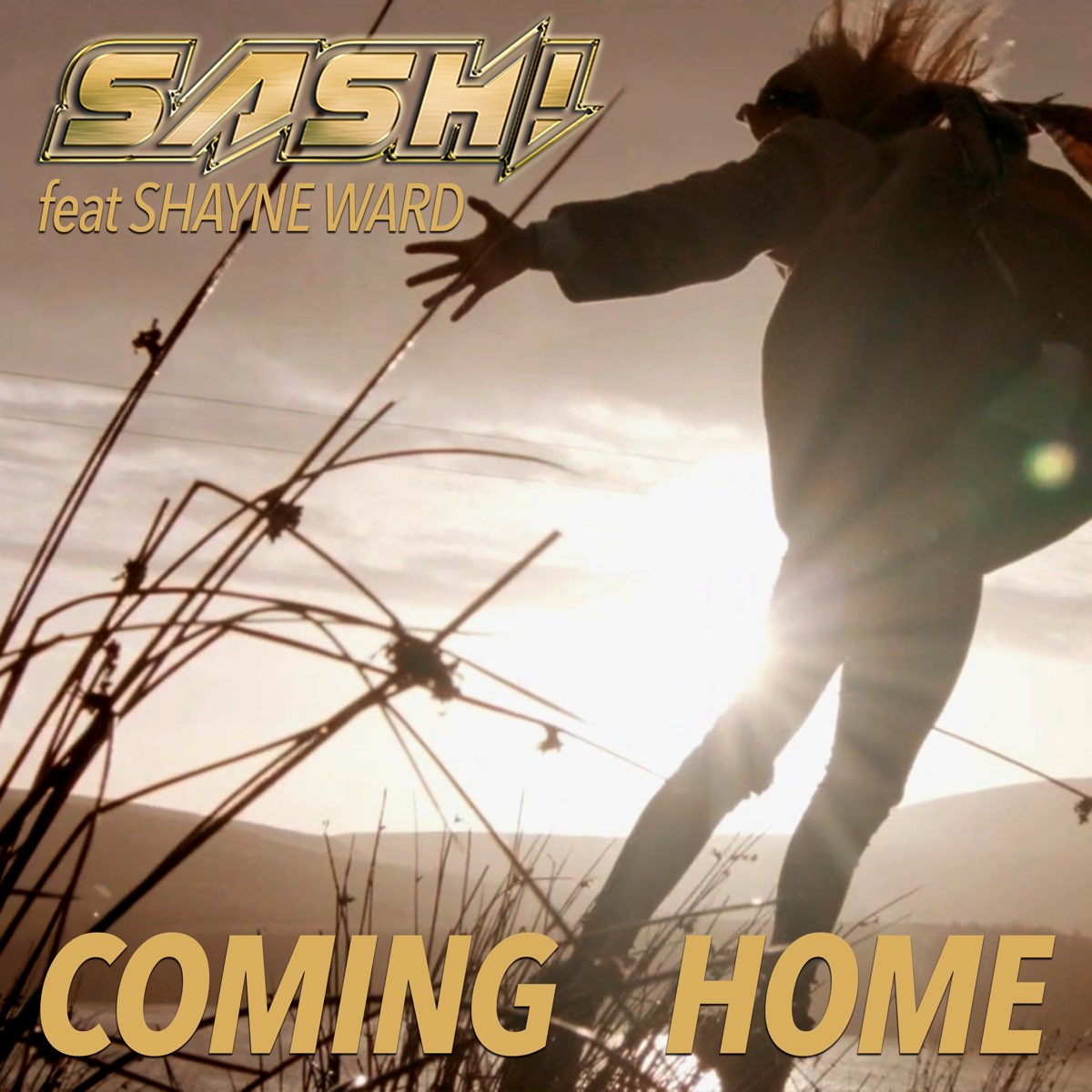 ‎Coming Home - Single - Album by Sash! & Shayne Ward - Apple Music