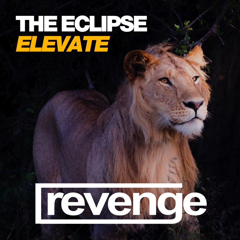 Elevate (Dub Mix) - The Eclipse: Song Lyrics, Music Videos & Concerts