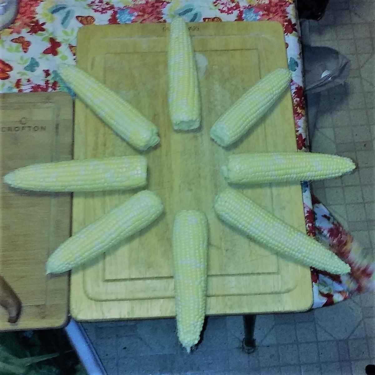 ‎My Ears Needed Songs - Album by The Last River Bottomed Fig Plucker ...