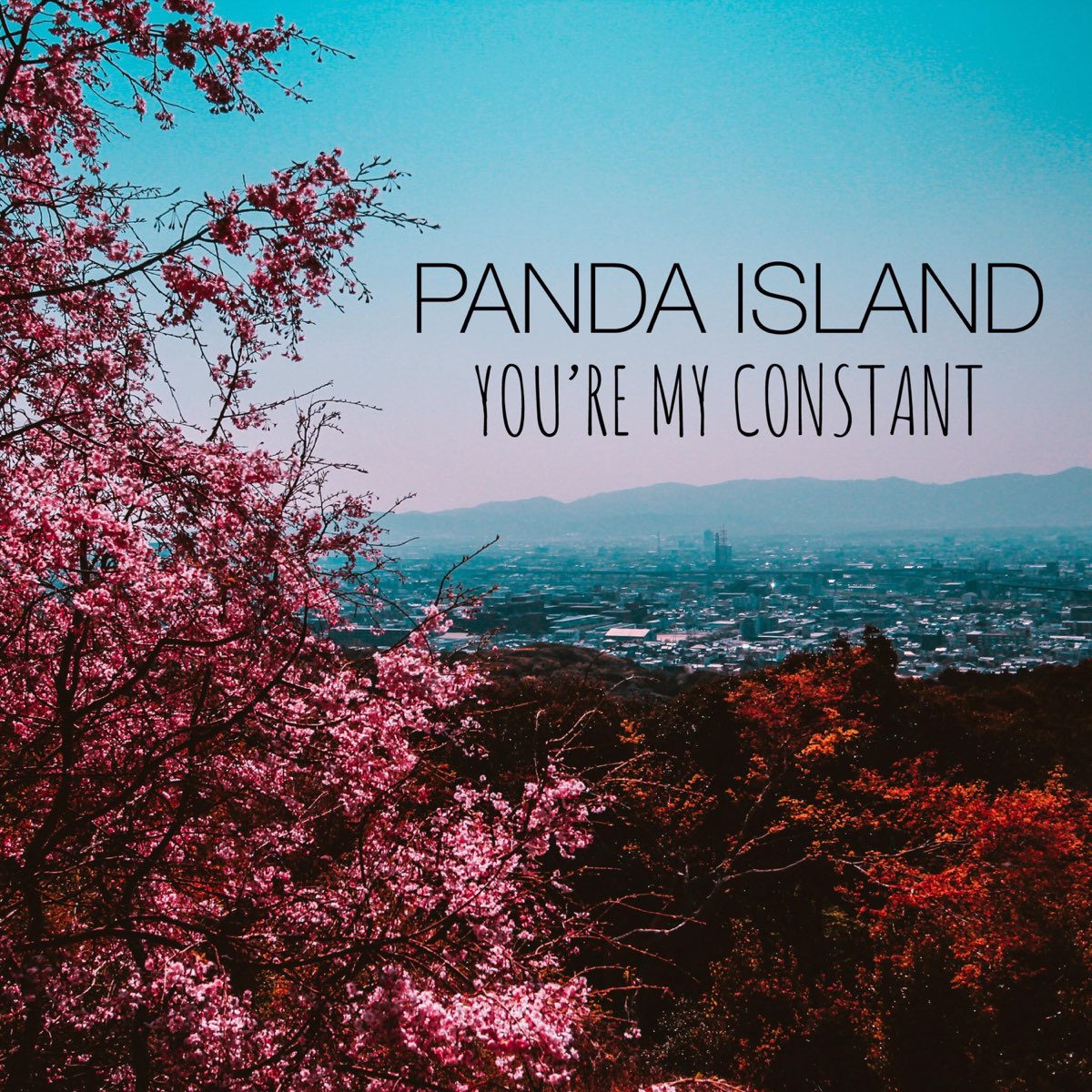 ‎You're My Constant - Album by Panda Island - Apple Music