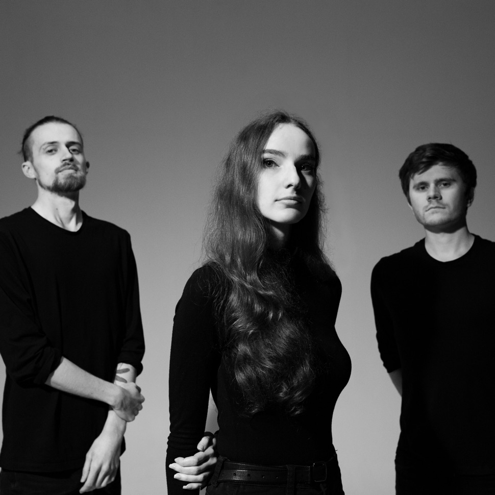 EXPLORING BIRDSONG songs and albums | full Official Chart history