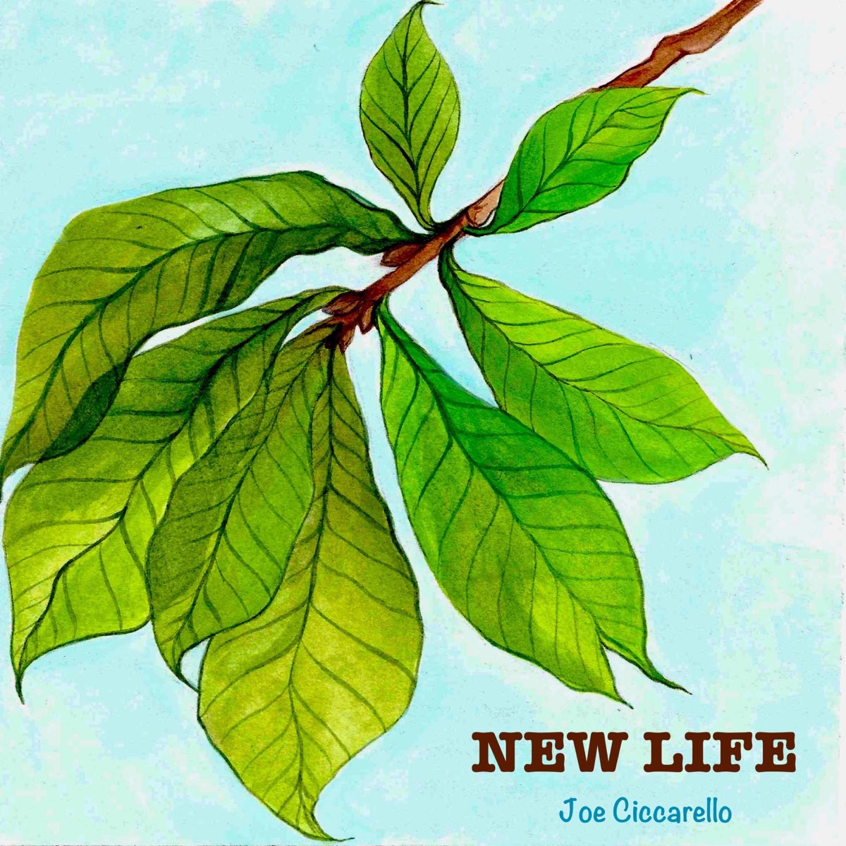 ‎New Life - Album by Joe Ciccarello - Apple Music