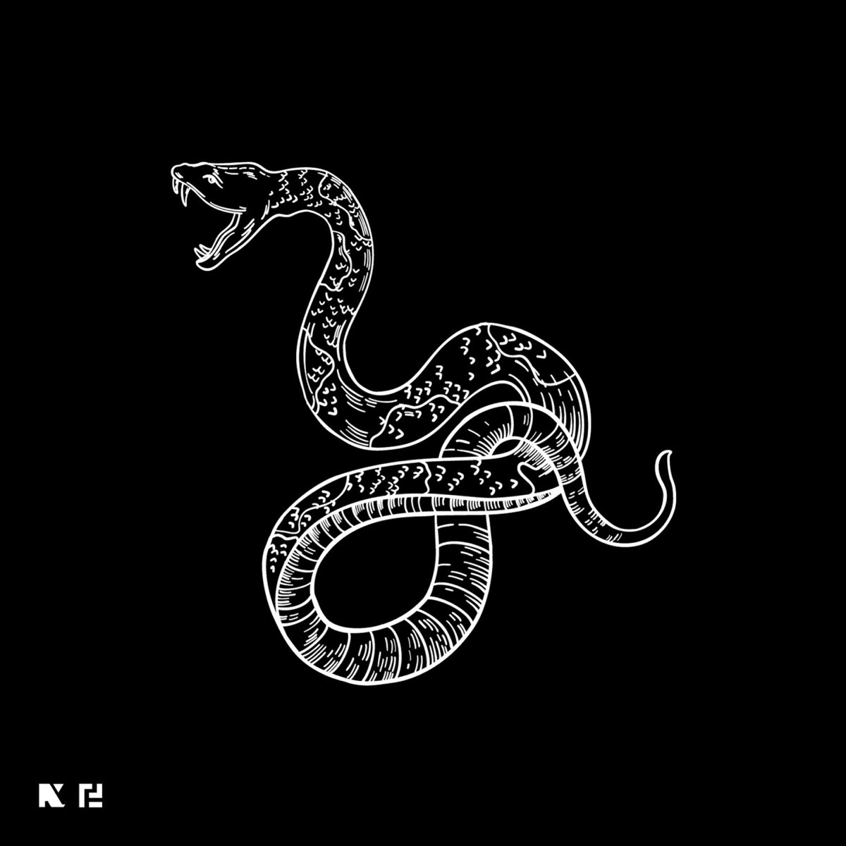 ‎Serpent (With Karu) - Single - Album by siid - Apple Music