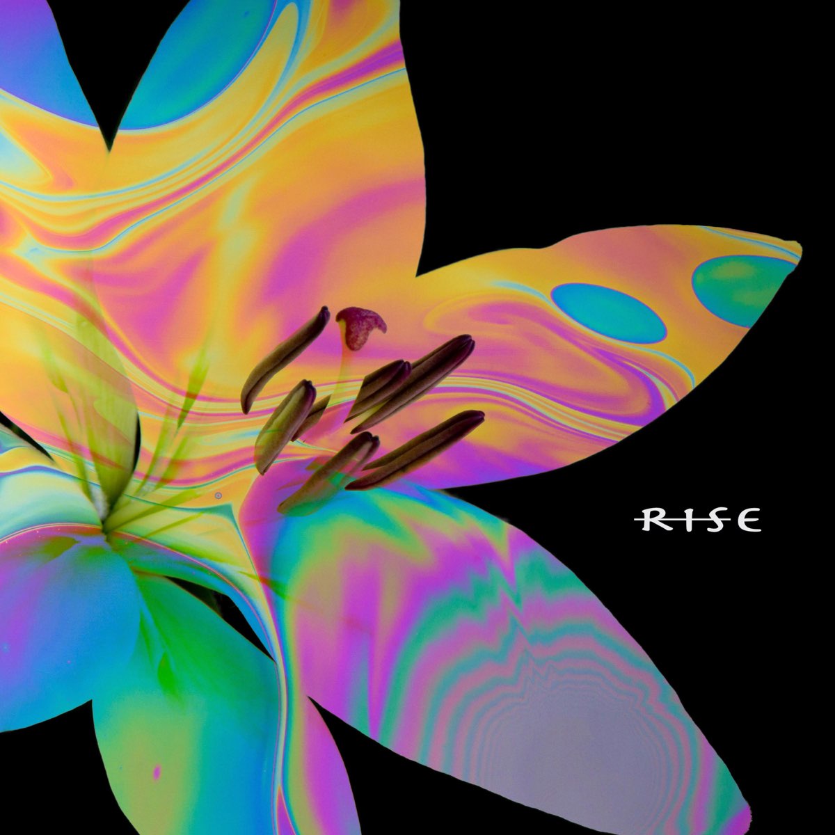 ‎Rise - Aztek의 앨범 - Apple Music