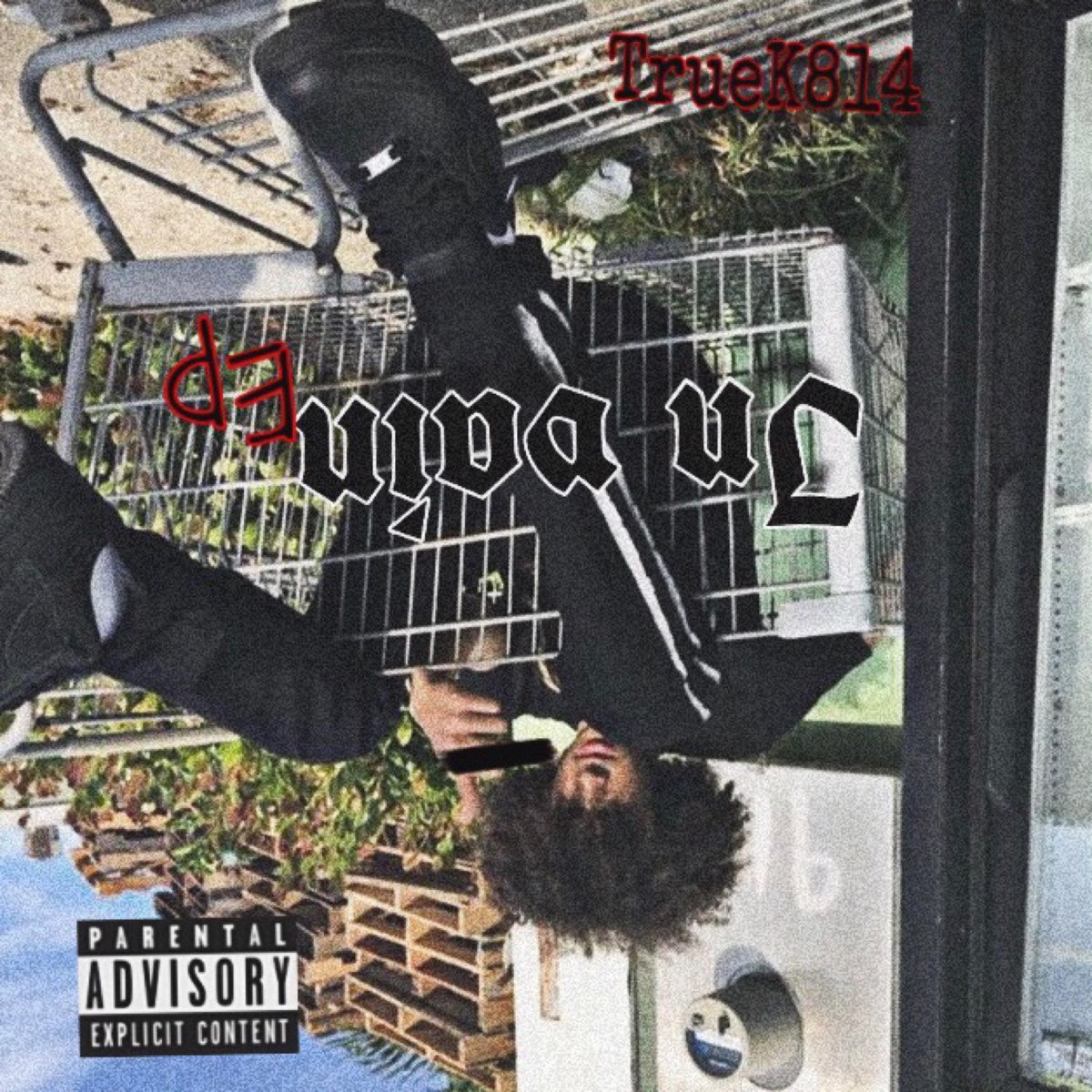 ‎In Vain - Album by TrueK814 - Apple Music