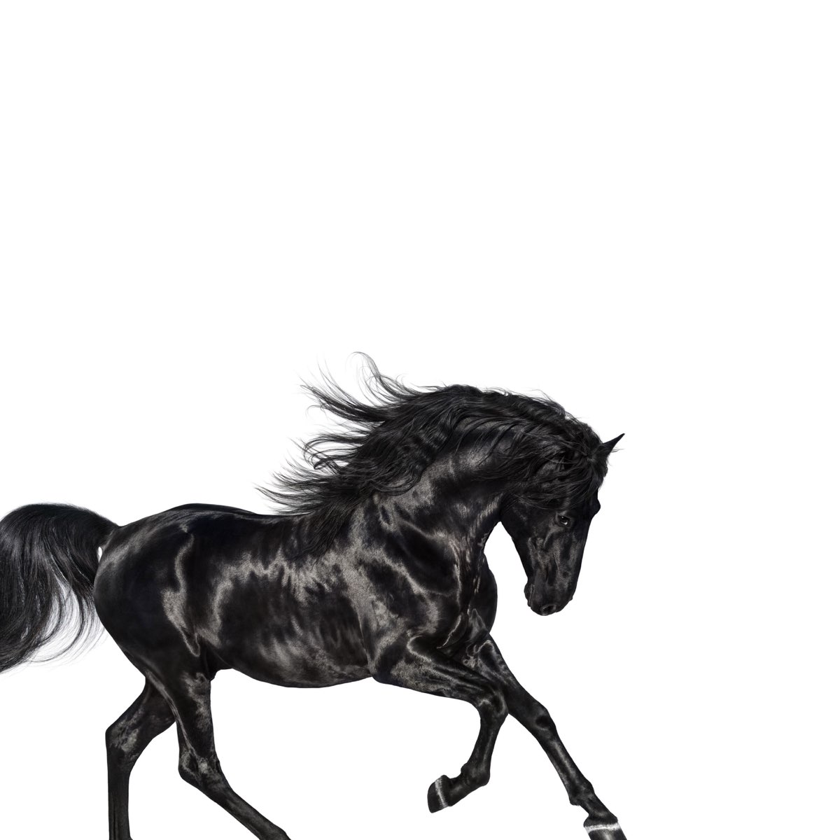 old Town Road Single — álbum De Lil Nas X — Apple Music