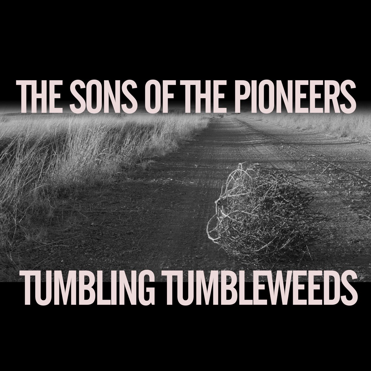 ‎Tumbling Tumbleweeds - Album by The Sons of the Pioneers - Apple Music