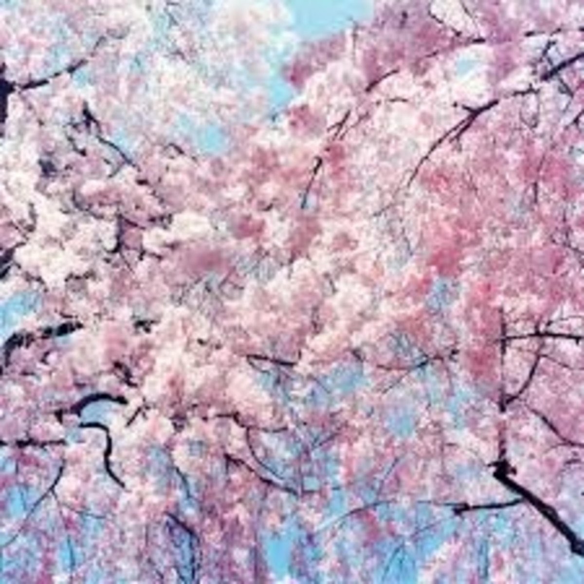 ‎Oh Yuh - Single - Album by Kempachii - Apple Music