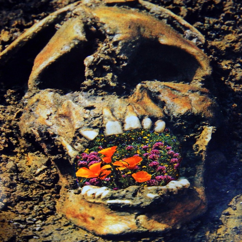 Cannibal Tooth - Stereo Nest: Song Lyrics, Music Videos & Concerts