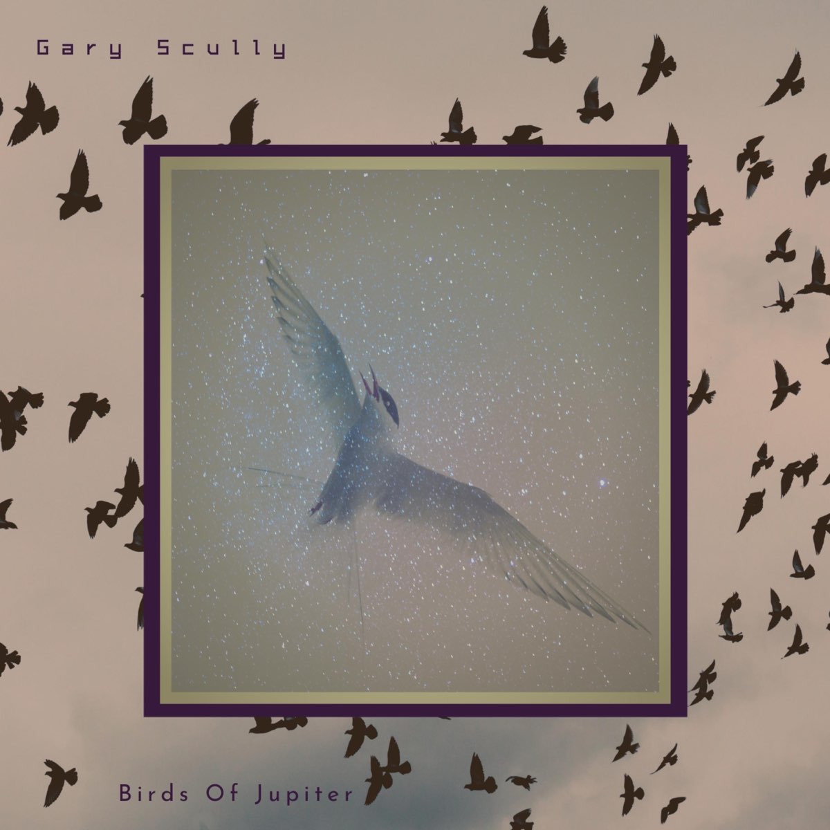 ‎Birds of Jupiter - EP - Album by Gary Scully - Apple Music