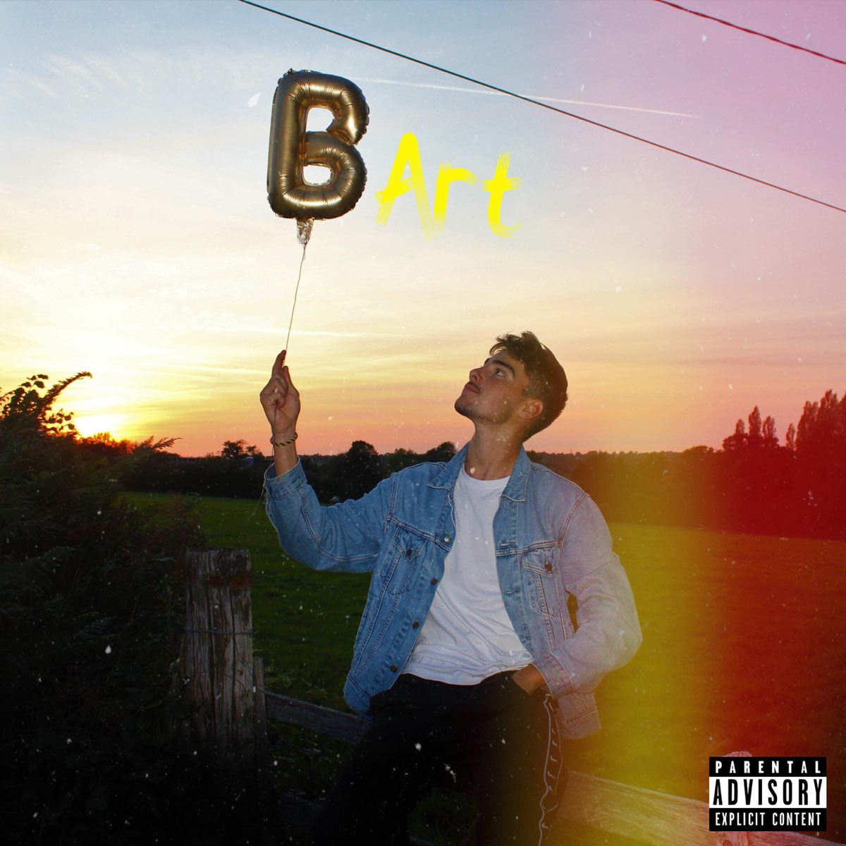 ‎Art - Bart_のアルバム - Apple Music