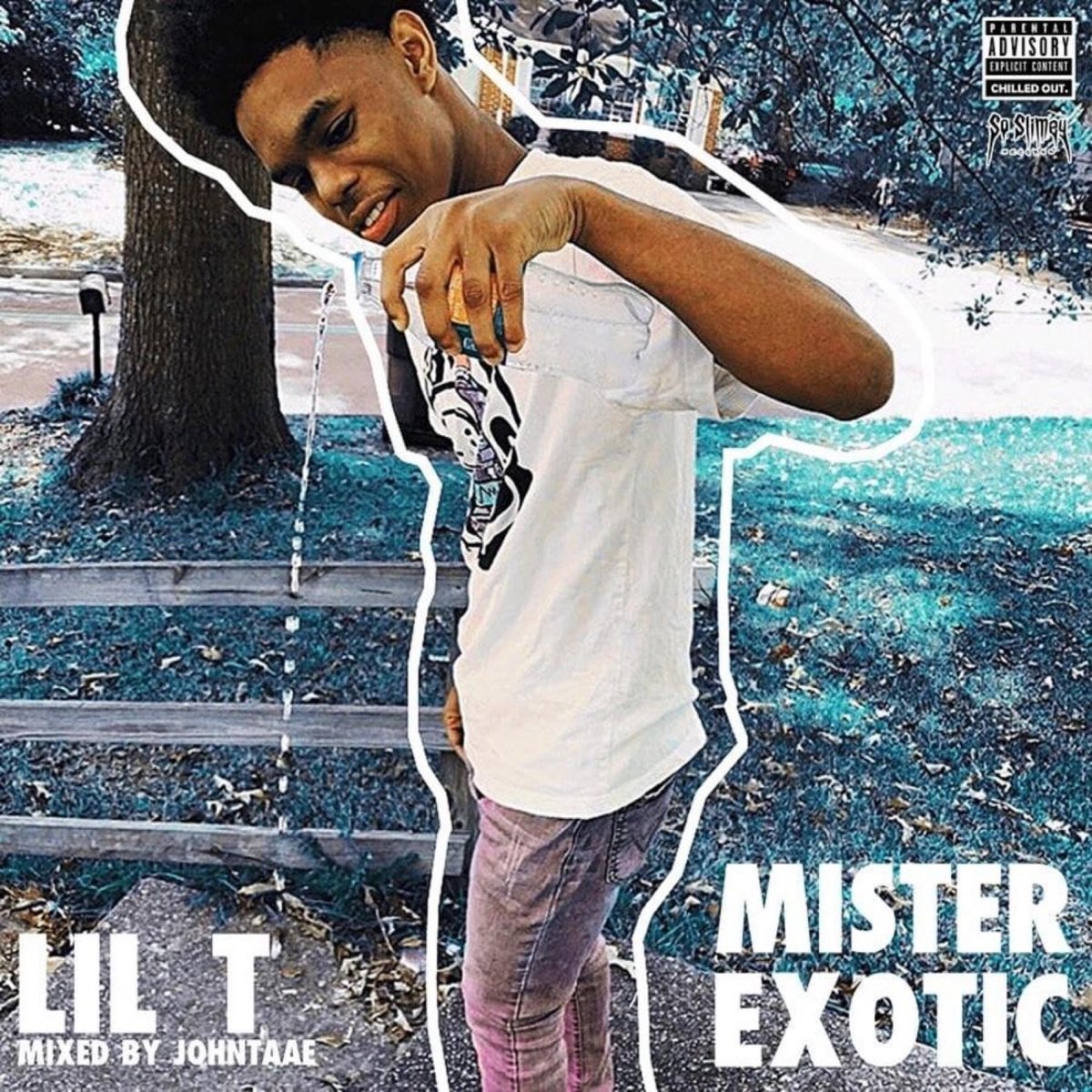 ‎Mister Exotic - Single - Album by Lil T - Apple Music