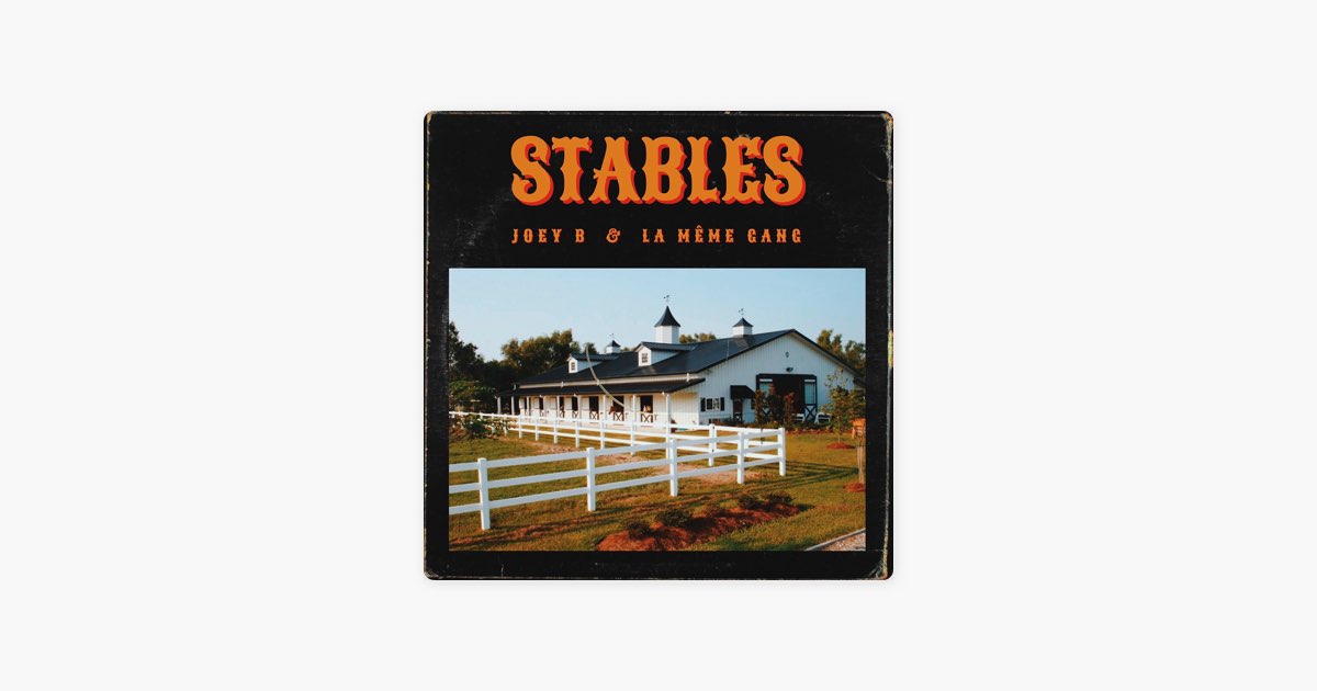 ‎Stables (feat. La Même Gang) - Song by Joey B - Apple Music