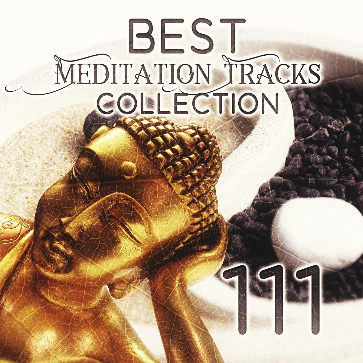 ‎apple Music에서 감상하는 Various Artists의 111 Best Meditation Tracks