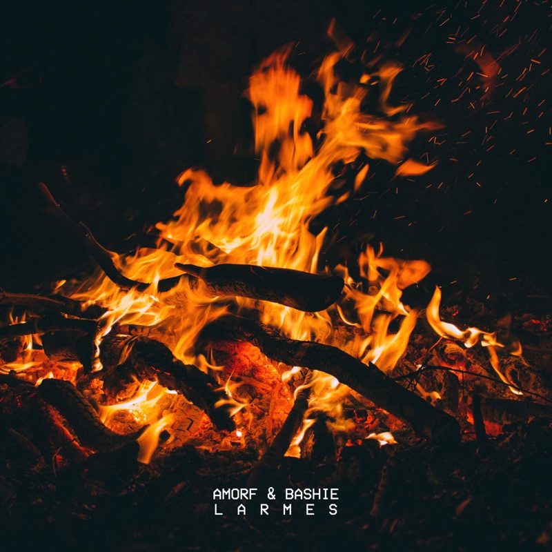 Larmes (feat. Bashie) - Amorf & Bashie: Song Lyrics, Music Videos ...
