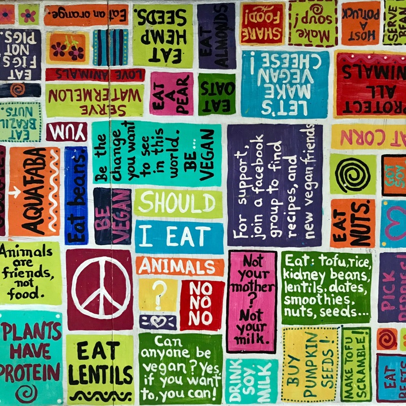 There Is No Excuse For Animal Abuse - Music Video by That Vegan Teacher ...