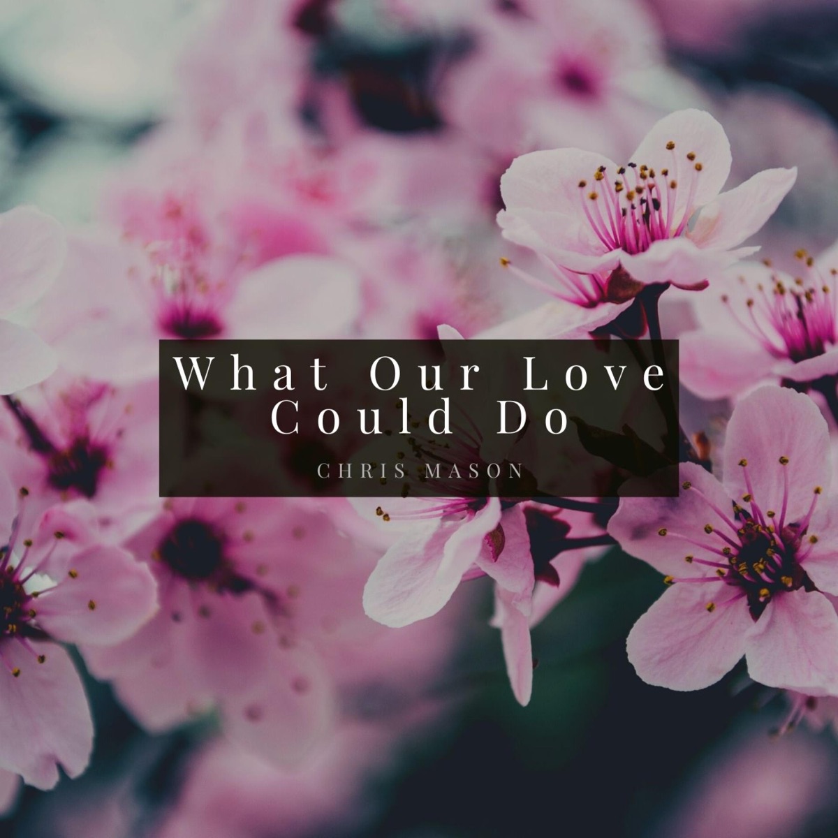 Flower Love Quotes Tumblr