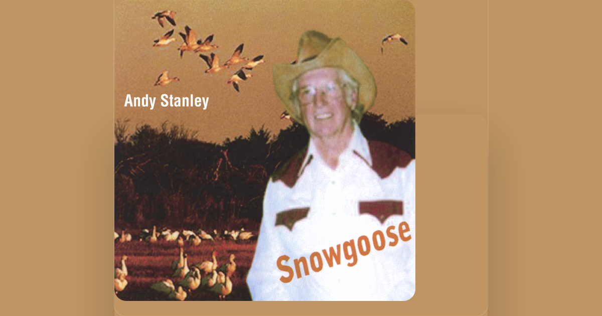 ‎Andy Stanley on Apple Books
