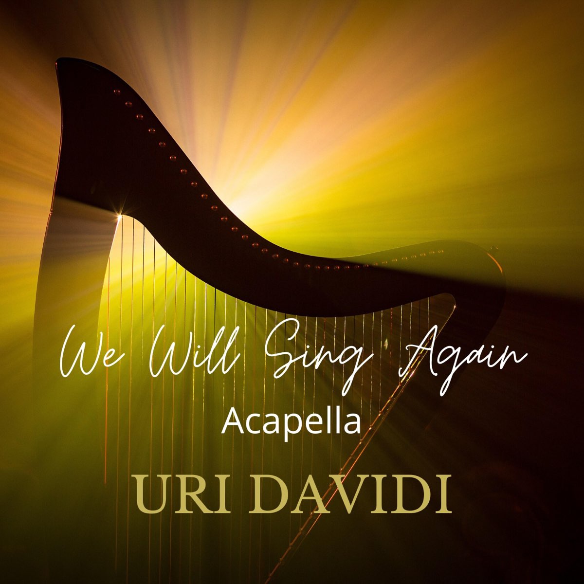 ‎We Will Sing Again (Acapella) - Single - Album by Uri Davidi - Apple Music