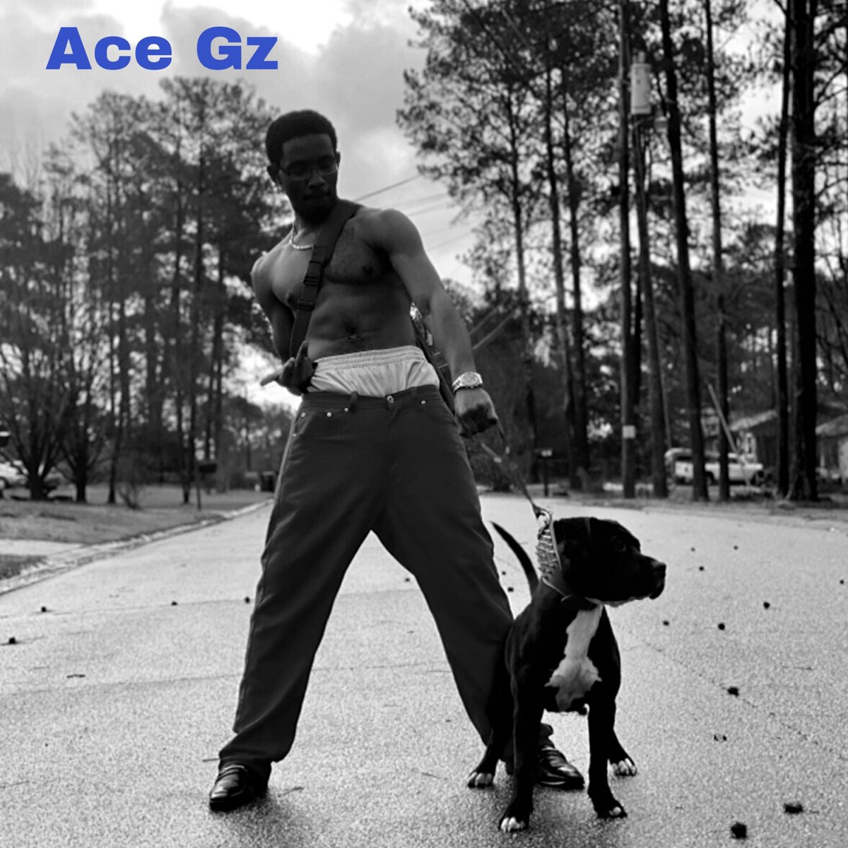 ‎Ace Blues Clues - Single - Album by Ace Gz - Apple Music