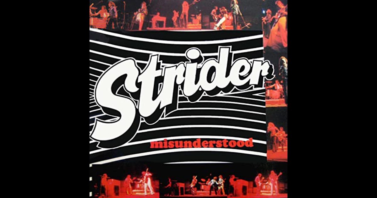 ‎Альбом «Misunderstood» — Strider — Apple Music