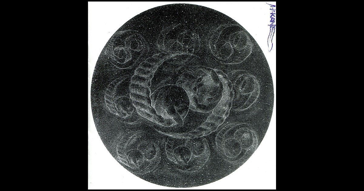 ‎Sixty Nine - Album by A.R. Kane - Apple Music