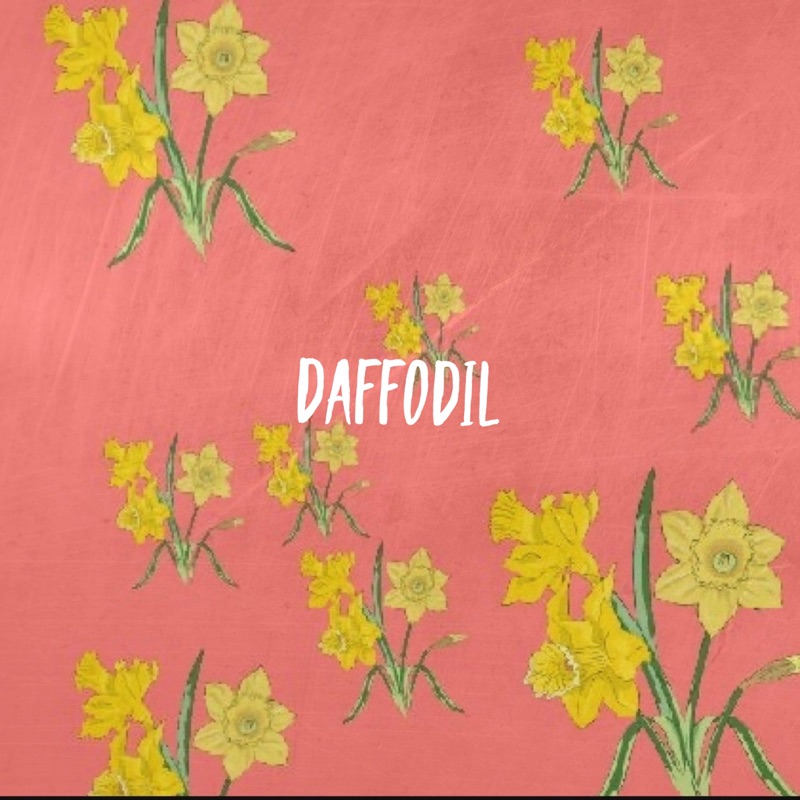 Daffodil - Isaiah Mostafa: Song Lyrics, Music Videos & Concerts