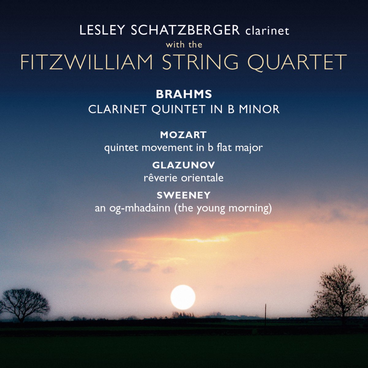 ‎Brahms: Clarinet Quintet in B Minor - Album by Fitzwilliam String ...