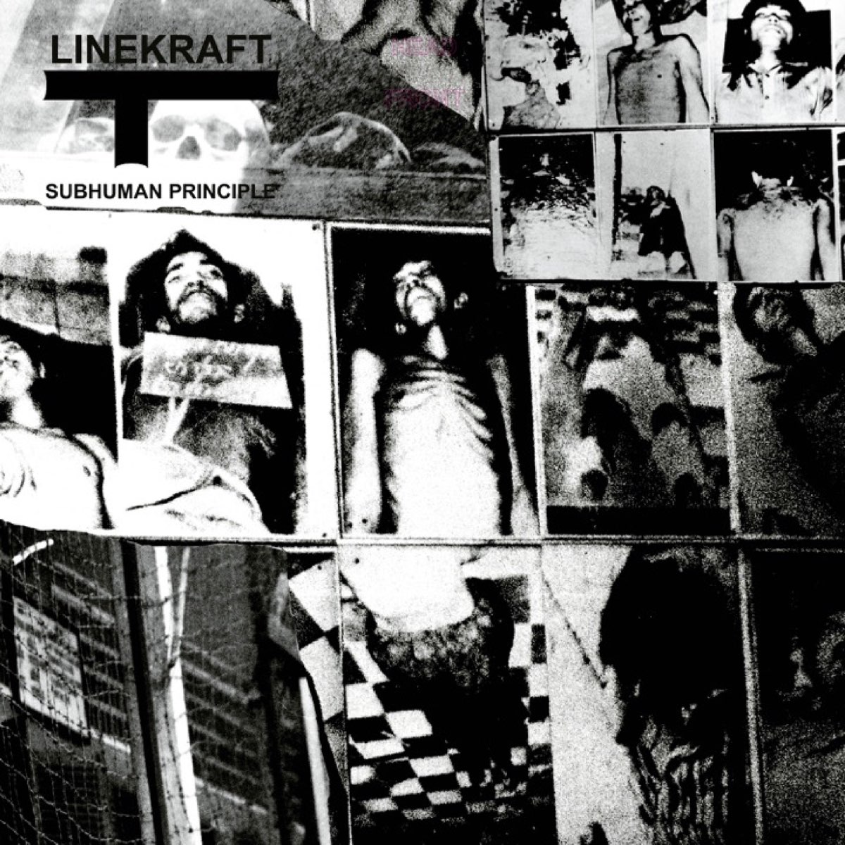 ‎Subhuman Principle - Linekraft의 앨범 - Apple Music