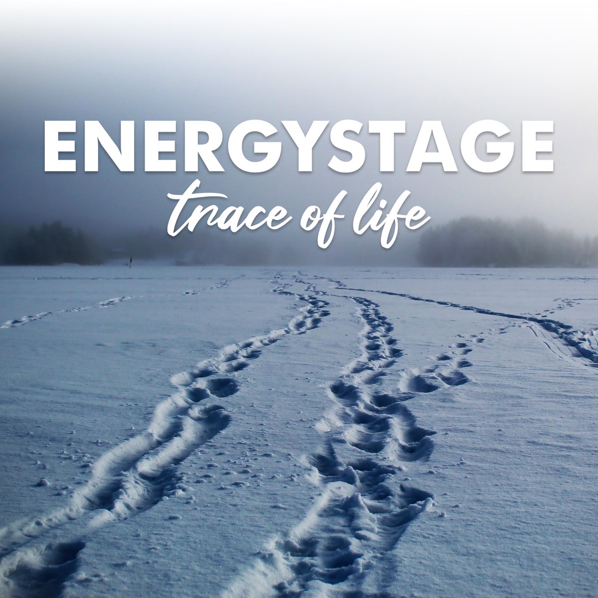 ‎Energy Stage (Trace of Life (Full Album) 2021) - Album by Energy Stage ...