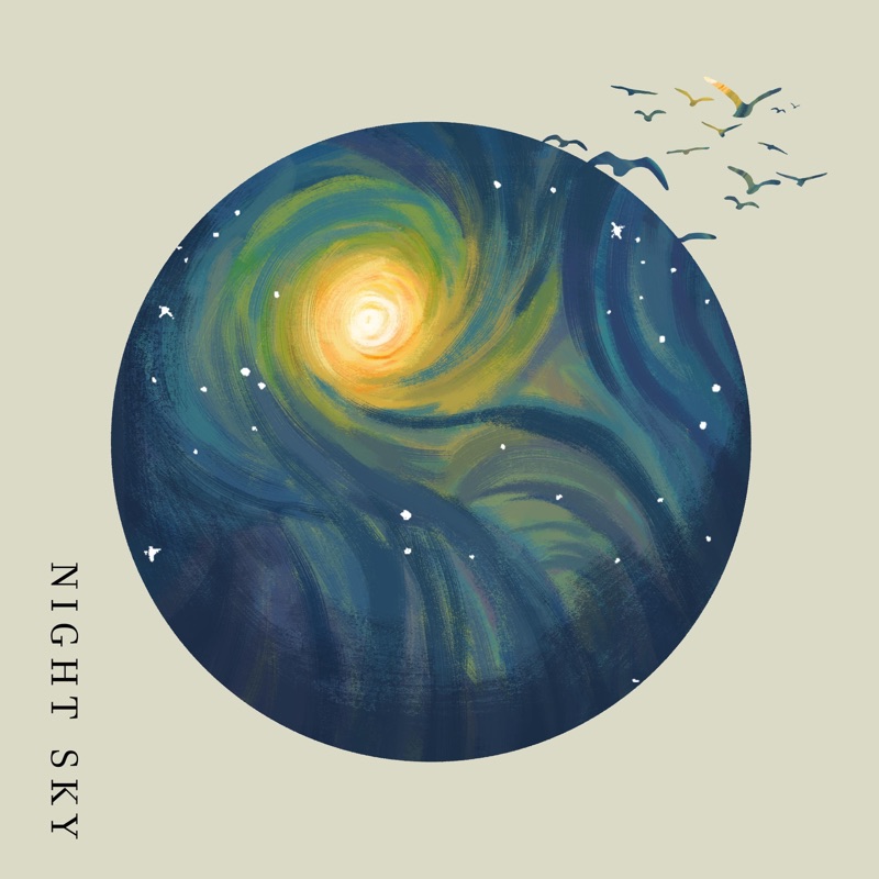 Night Sky - Hasan Ozsut & Cankat Guenel: Song Lyrics, Music Videos ...