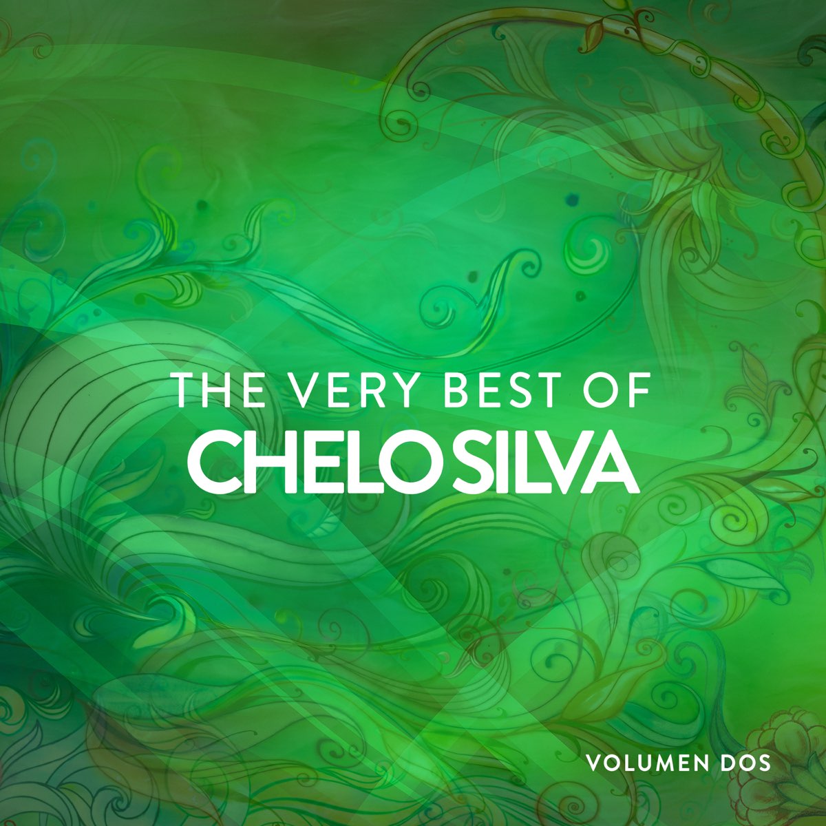‎The Very Best OF Chelo Silva 20 Súper Éxitos Vo. 2 — álbum de Chelo Silva — Apple Music