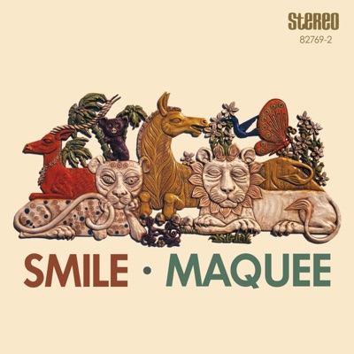 Rock Anthem for the Retarded Teen Hipster Population - Smile
