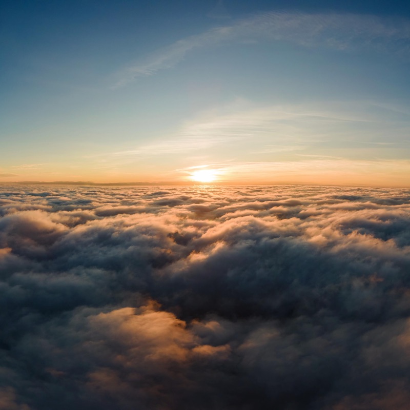 Angel - Cathartic Fall: Song Lyrics, Music Videos & Concerts