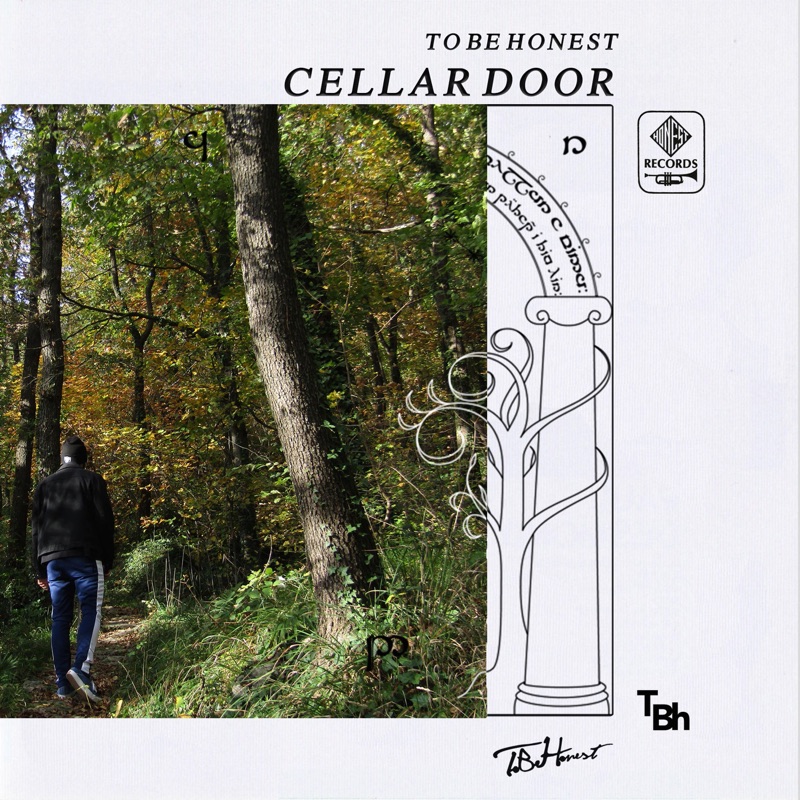 You're Not the Girl - To Be Honest: Song Lyrics, Music Videos & Concerts