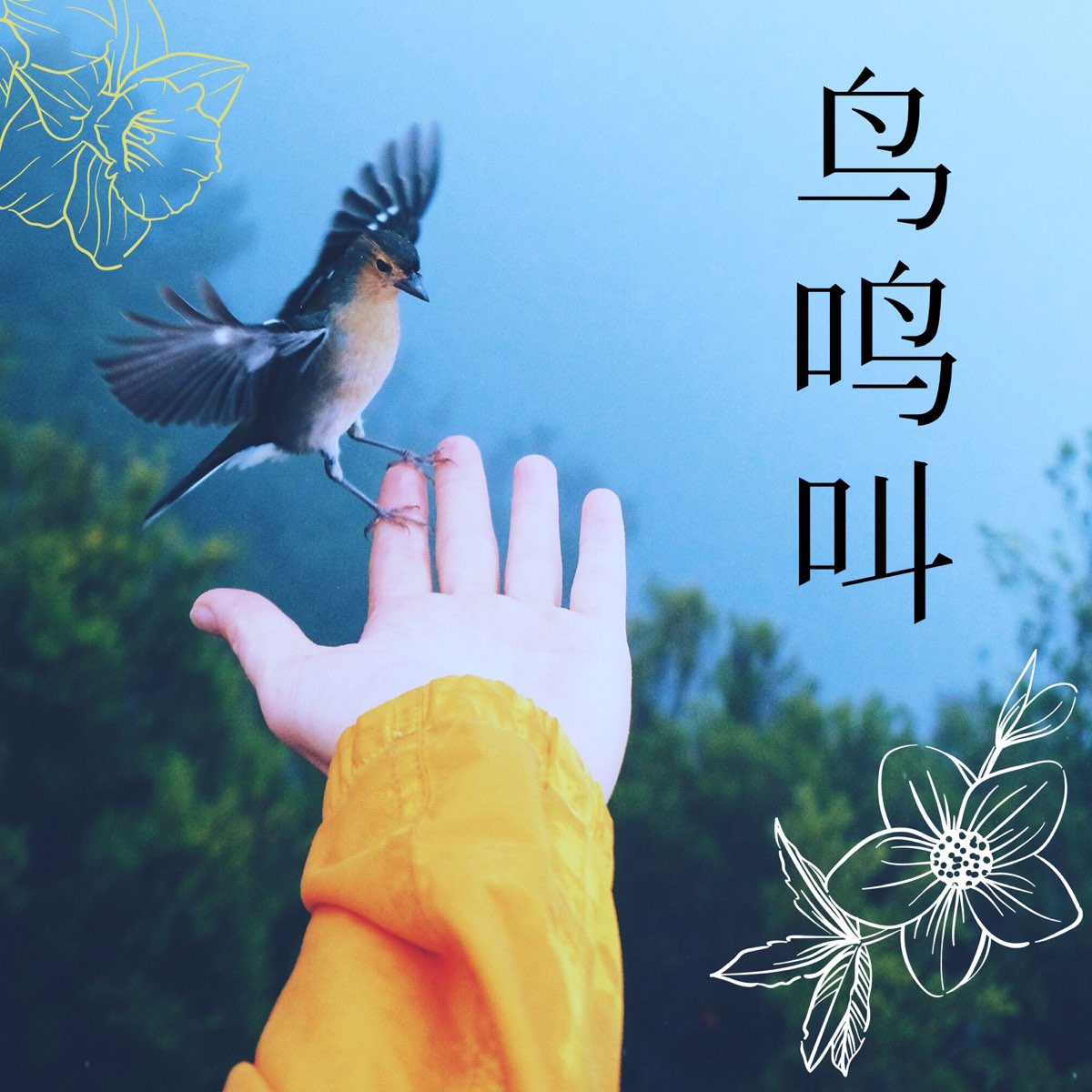 ‎《鸟鸣叫 放松音乐 走进树林 早上活动 鸟儿歌曲》 白天青的专辑 Apple Music