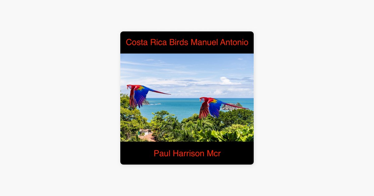 ‎Costa Rica Birds seven – Song by Paul Harrison Mcr – Apple Music