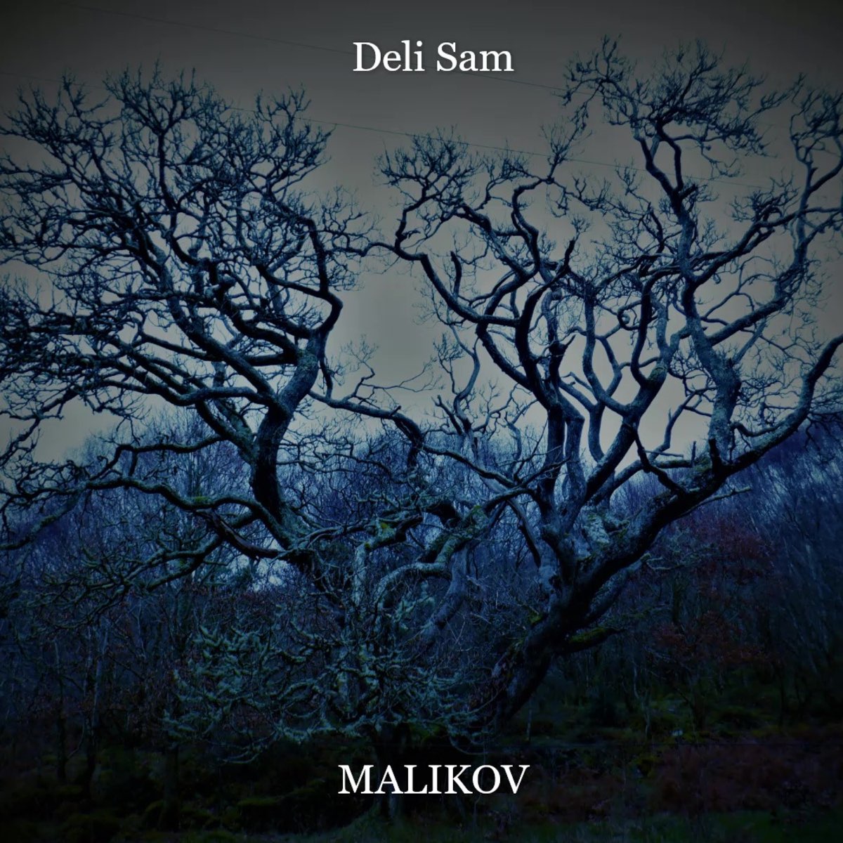 ‎Malikov - Single - Album by Deli Sam - Apple Music