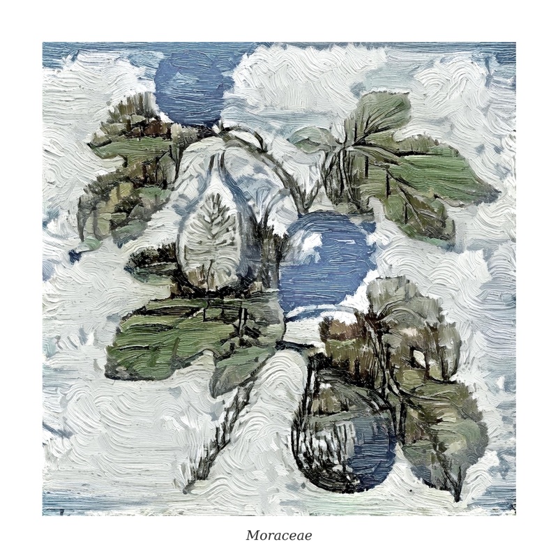 Vacate - Joshua Harry Hall: Song Lyrics, Music Videos & Concerts