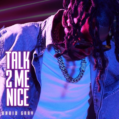 Talk 2 Me Nice - David S Gray | Shazam