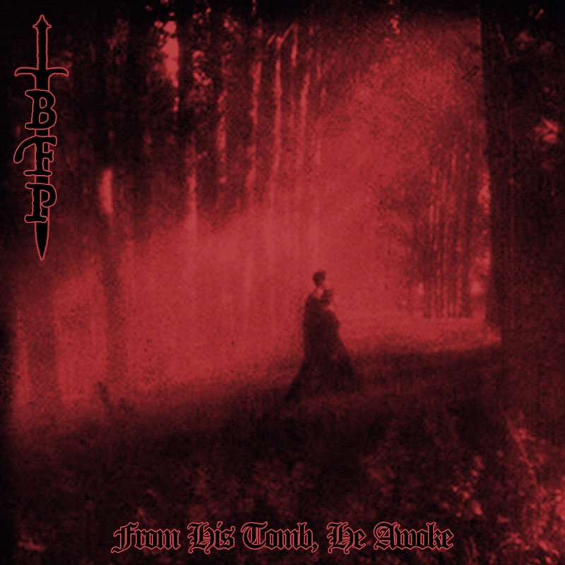 What Could Have Been - Born from Pain: Song Lyrics, Music Videos & Concerts