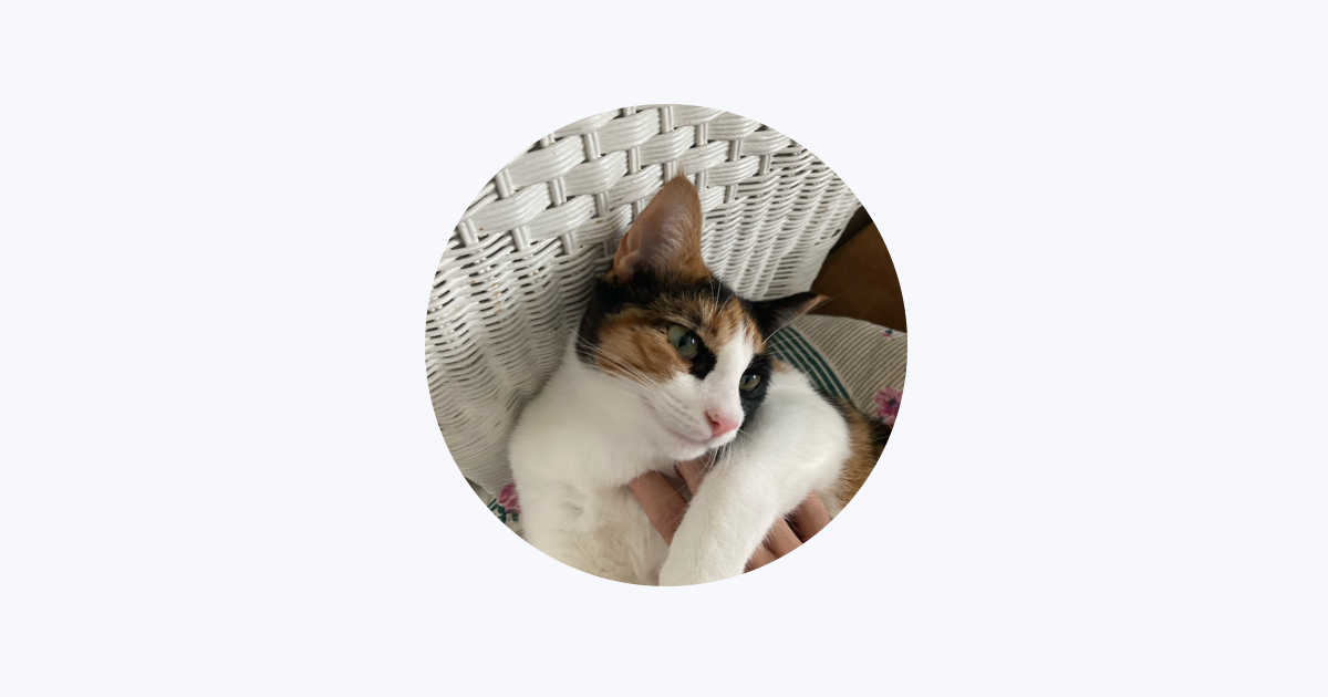 ‎kowalski – Apple Music