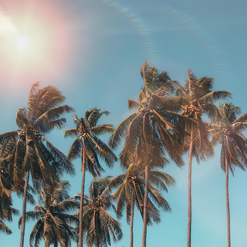 Nasty - CGEDALO: Song Lyrics, Music Videos & Concerts