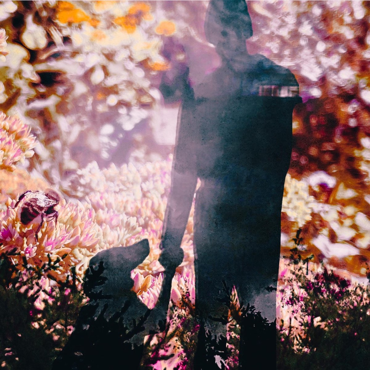 ‎The Outset - Single - Album by Robere DeGraw - Apple Music