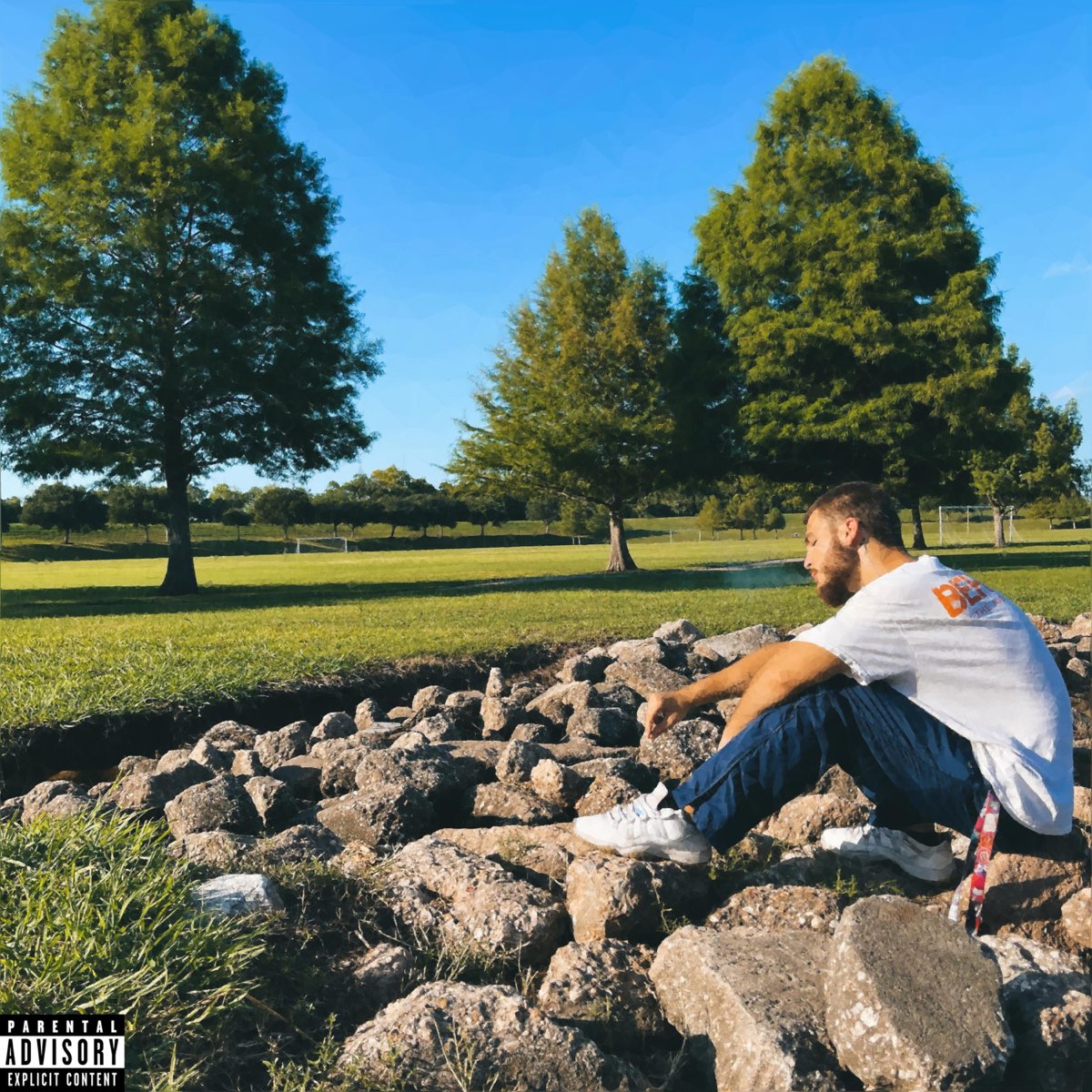 ‎A Beautiful Disaster - Album by Garrg0il - Apple Music