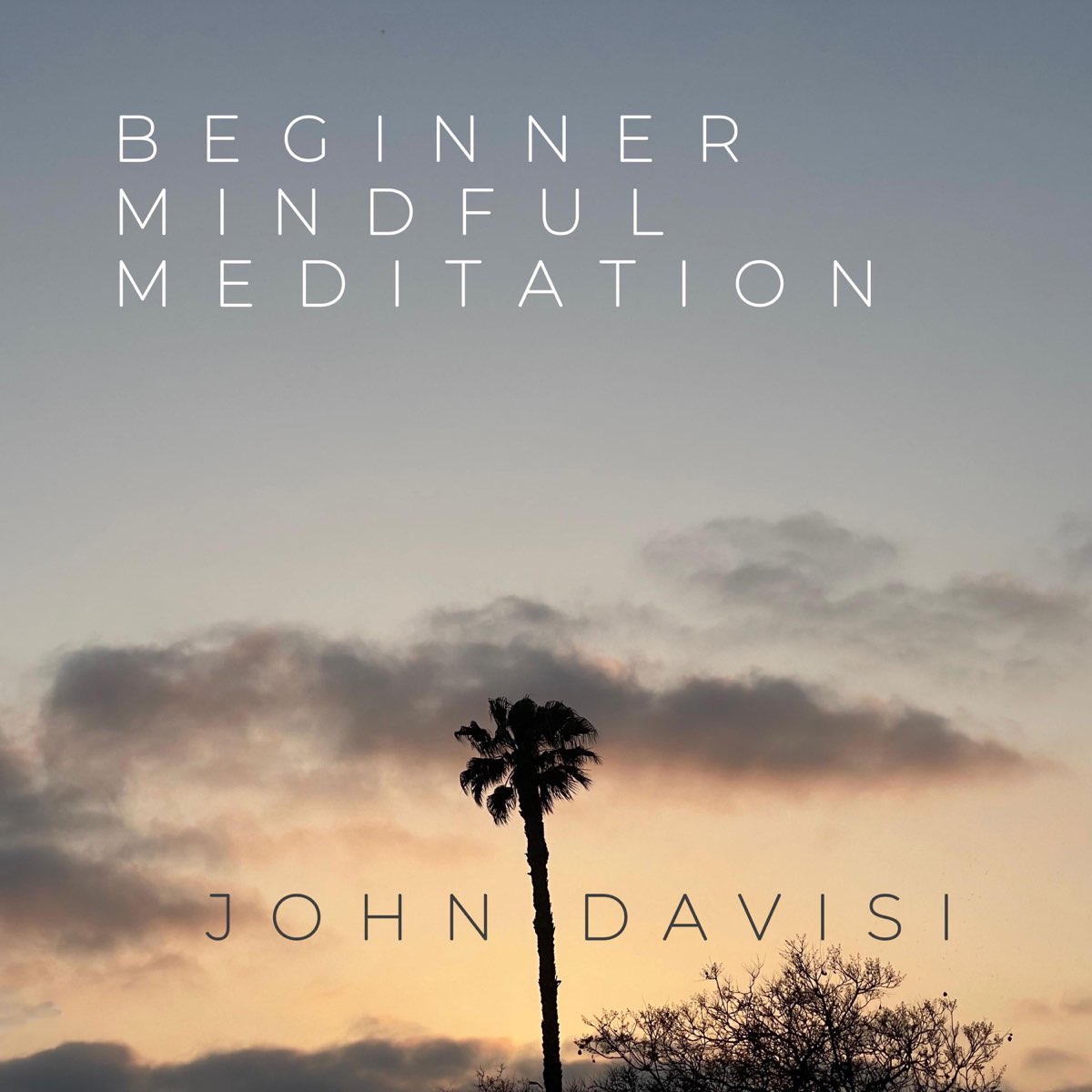 Beginner Mindful Meditation - EP》- John Davisi的专辑 - Apple Music