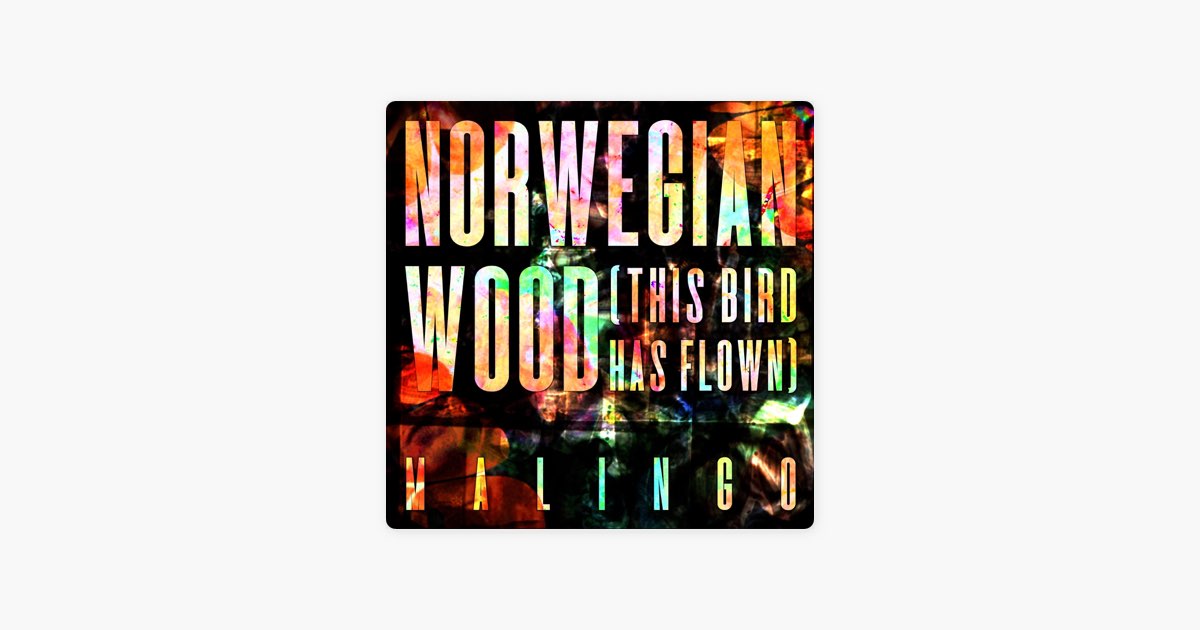 ‎Norwegian Wood (This Bird Has Flown) – Song by Malingo – Apple Music